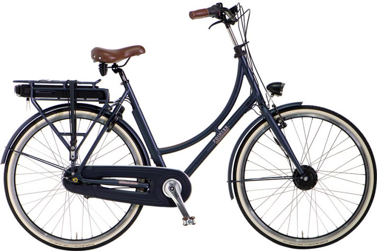 Pointer E. Grande - Wouter Fiets Service Nijmegen